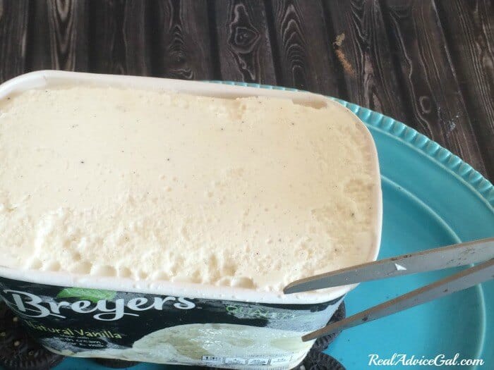 Easy Ice Cream Cake Recipe Hack - Real Advice Gal